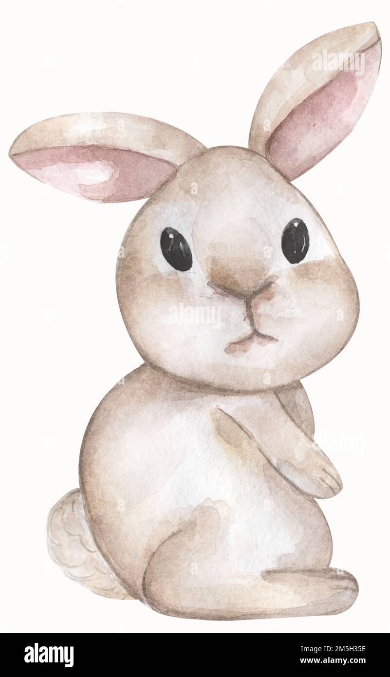 Cute bunny sitting, watercolor painting for baby child postcard ...