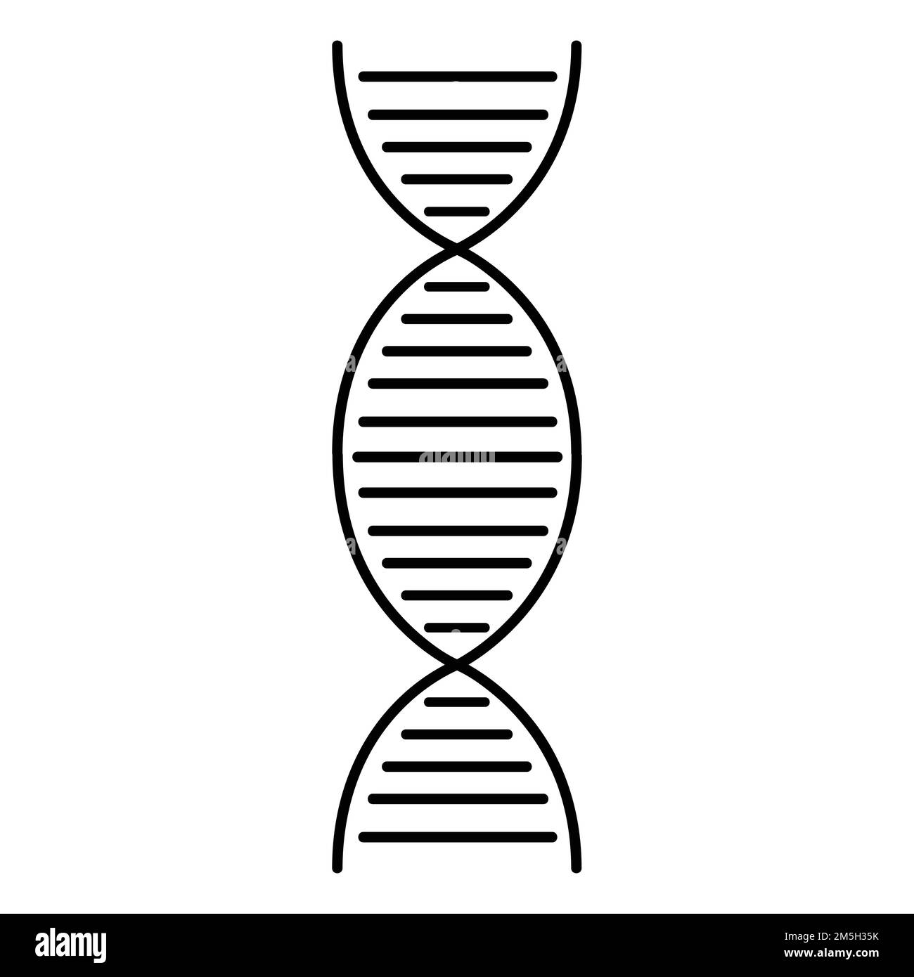 Black Dna Chain Chromosomal Structure Of Rna Molecule Stock Vector