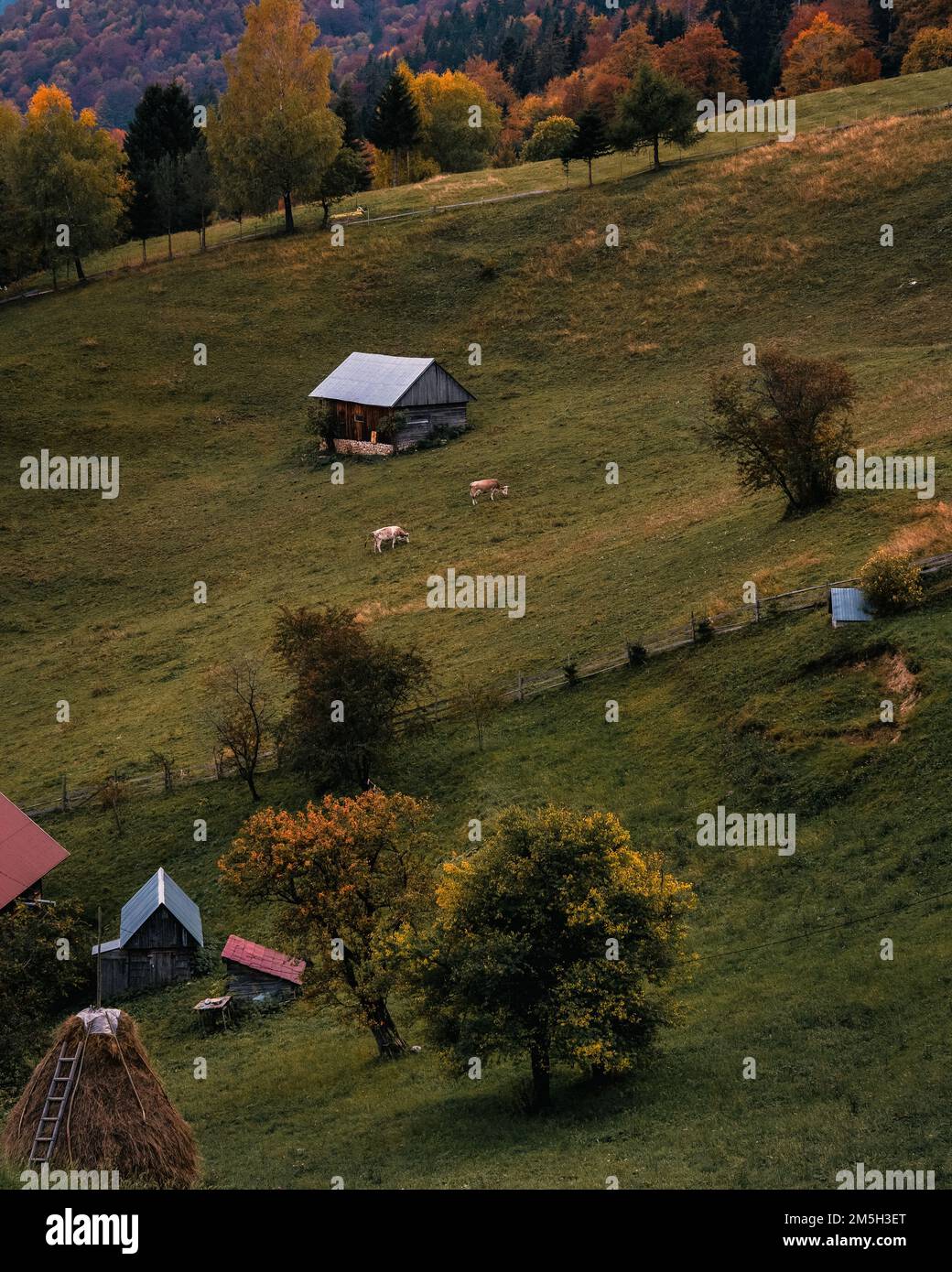 Vertival shot hi-res stock photography and images - Alamy