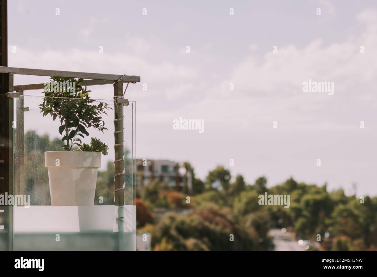 Terrace with flowers Stock Photo - Alamy