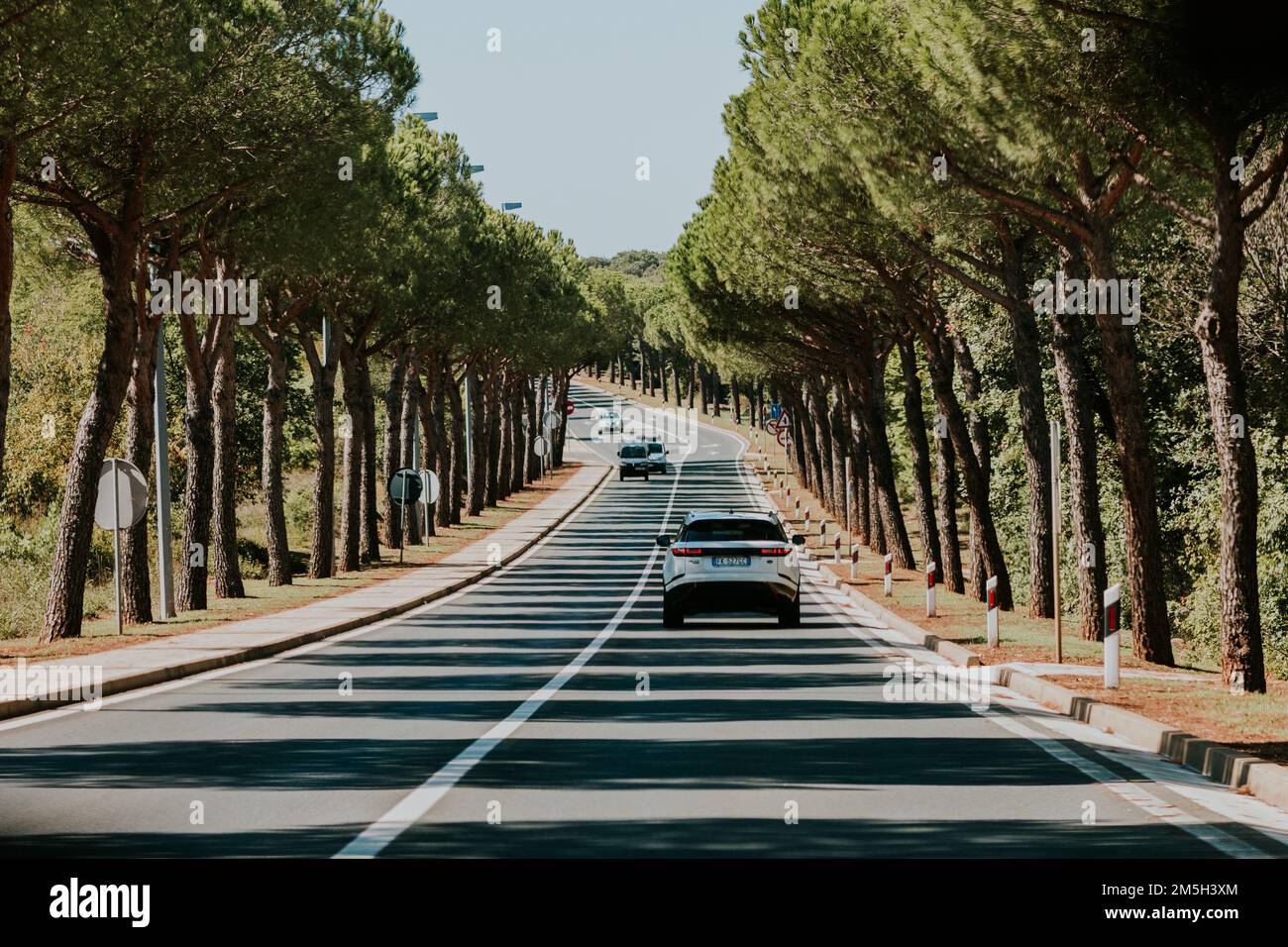 Cars driving down the road Stock Photo - Alamy