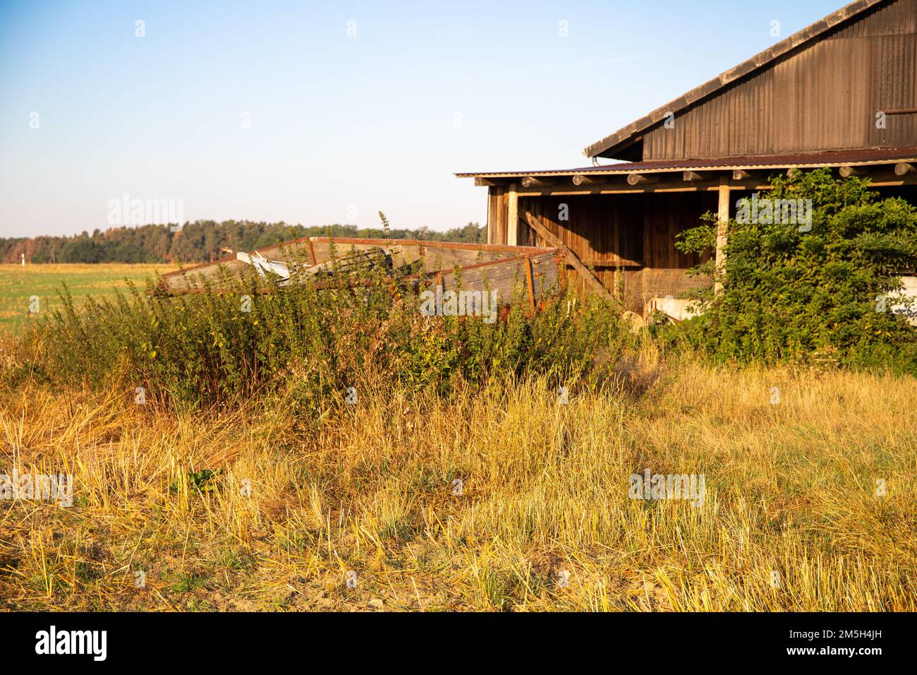 old overgrown barn overgrown with plants. High quality photo Stock ...
