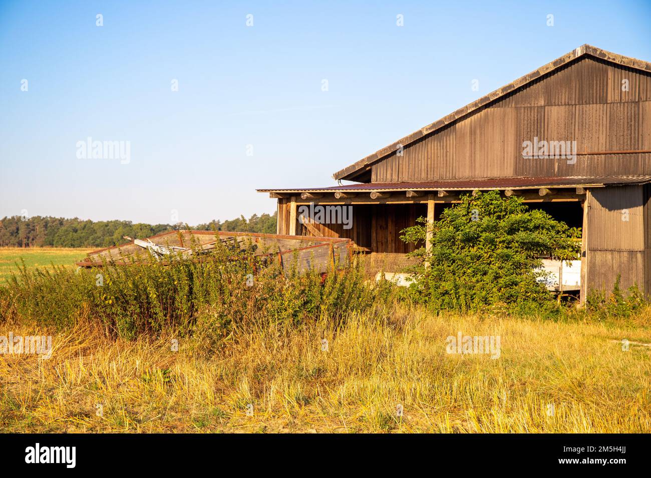 old overgrown barn overgrown with plants. High quality photo Stock ...