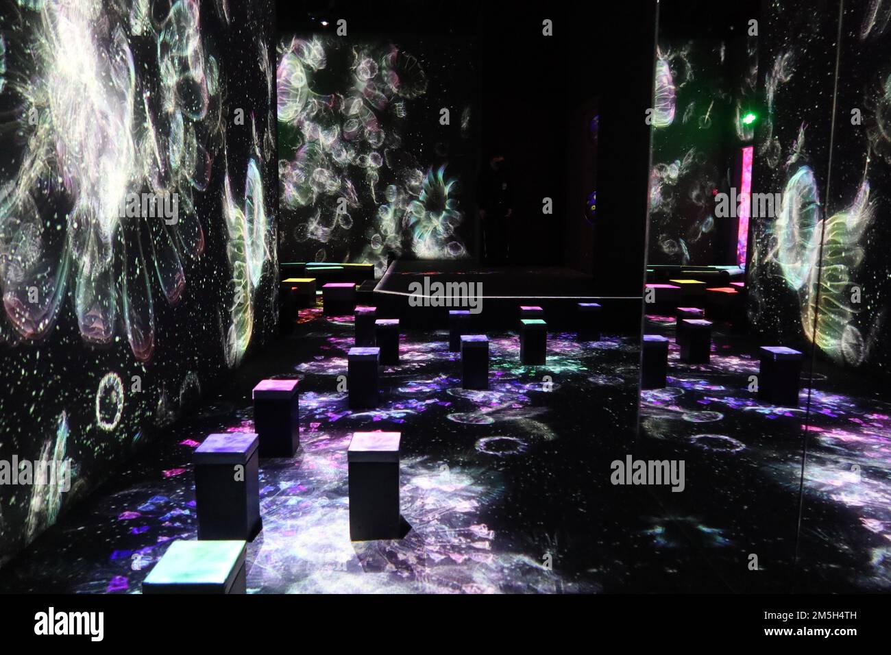 The teamLab Massless Beijing opened its doors for visitors at Chaoyang ...