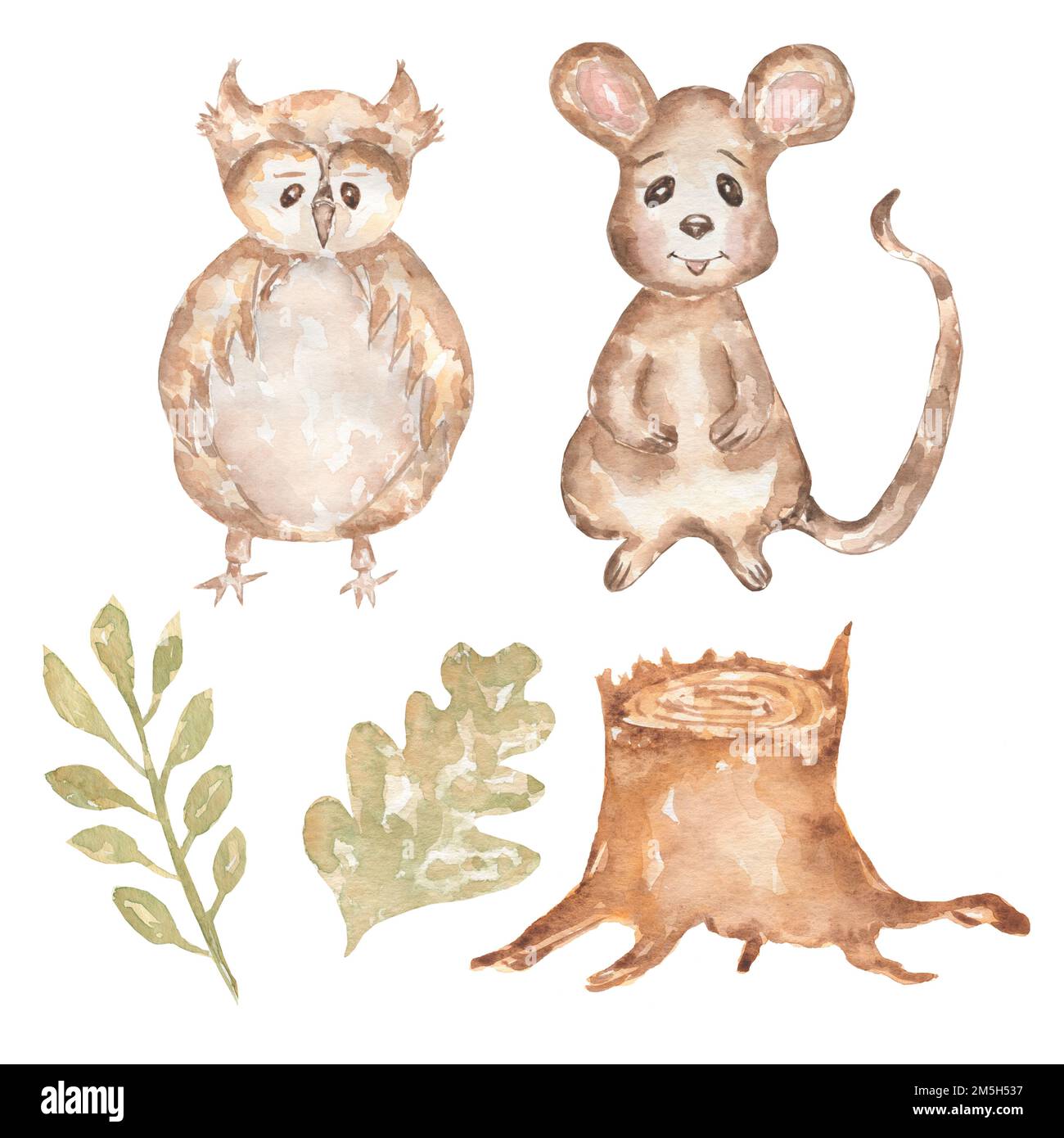 Watercolor Autumn woodland flora and animals set, isolated on white ...