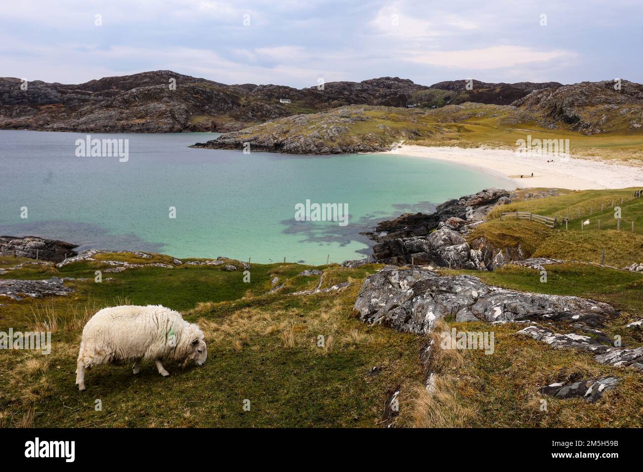 Achmelvich,Achmelvich Beach,sand,sandy,beach,NC500,North Coast 500,road ...