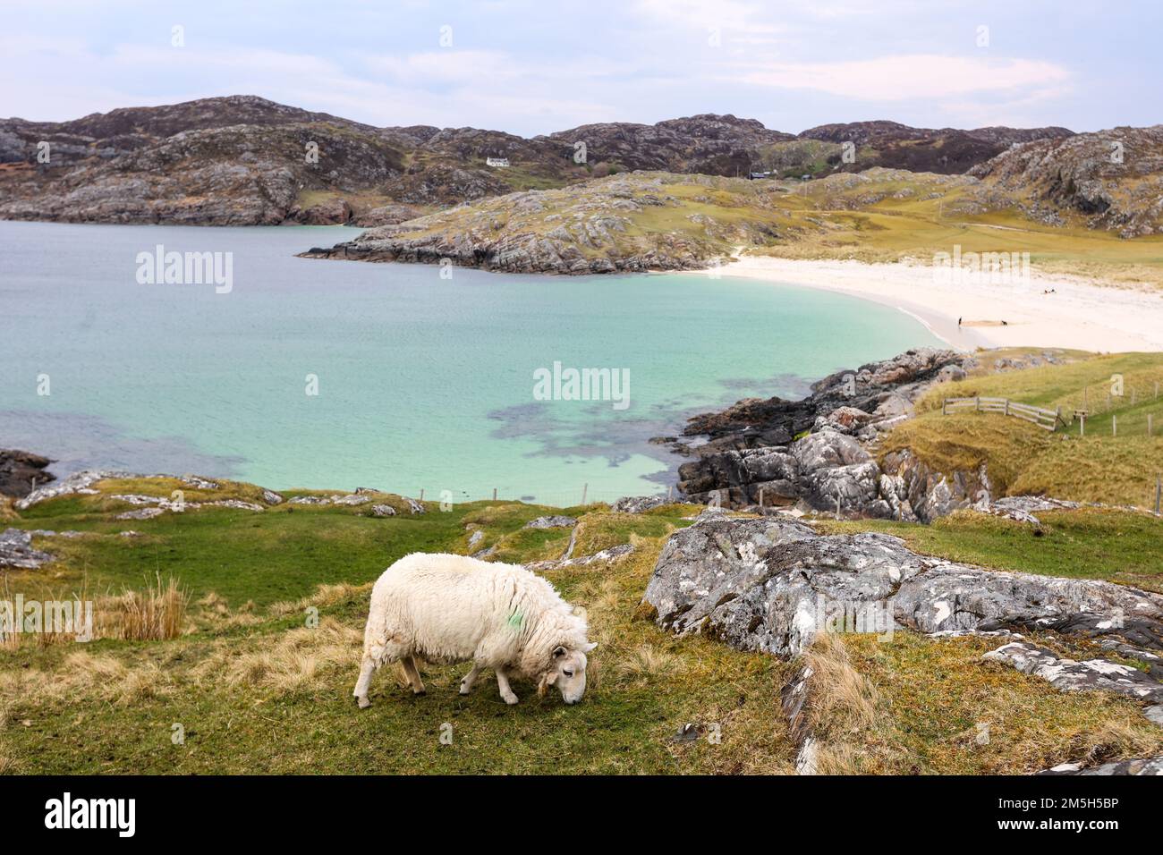 Achmelvich,Achmelvich Beach,sand,sandy,beach,NC500,North Coast 500,road ...