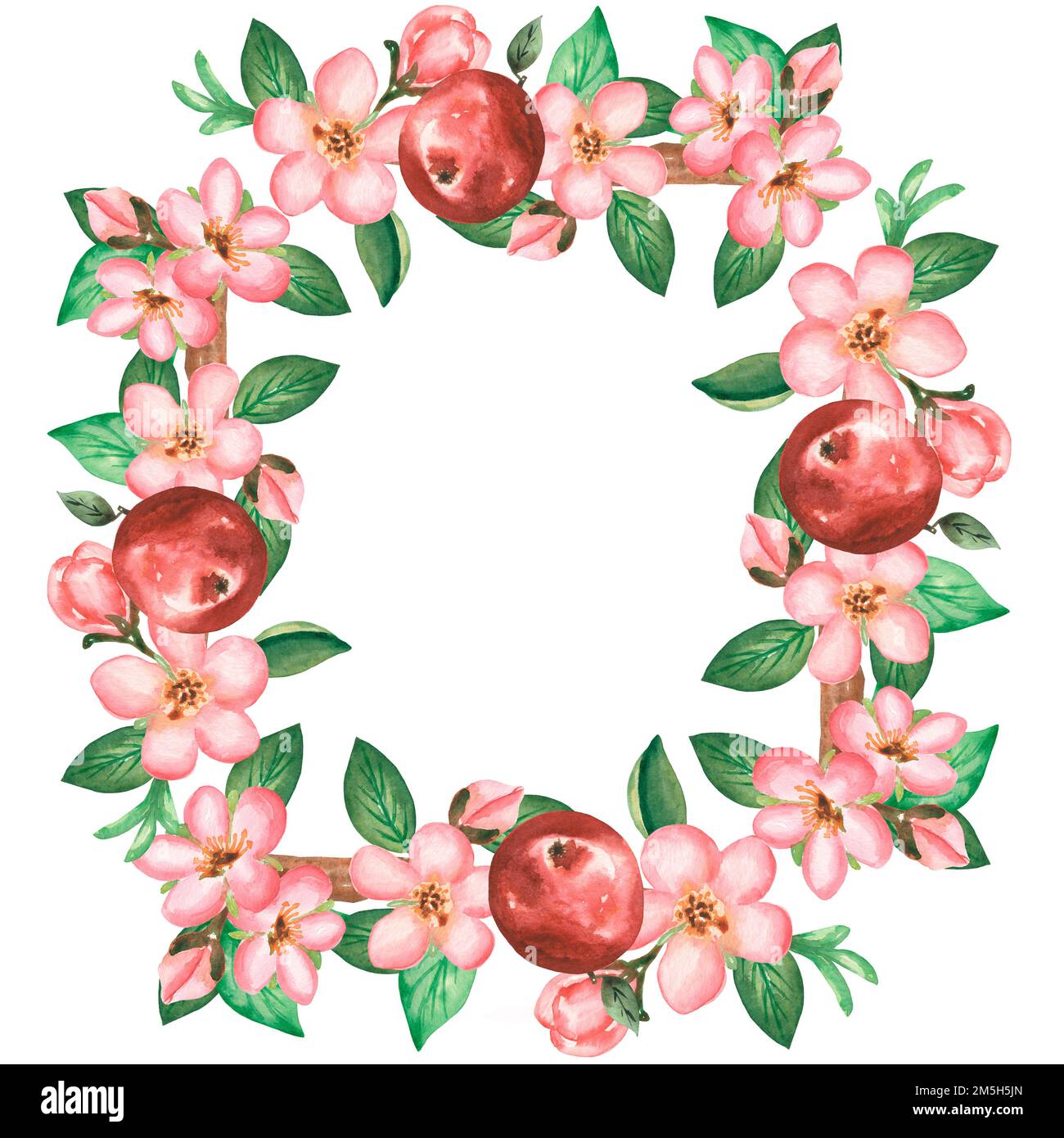 Watercolor hand drawn wreath illustration with apple flowers, leaves ...