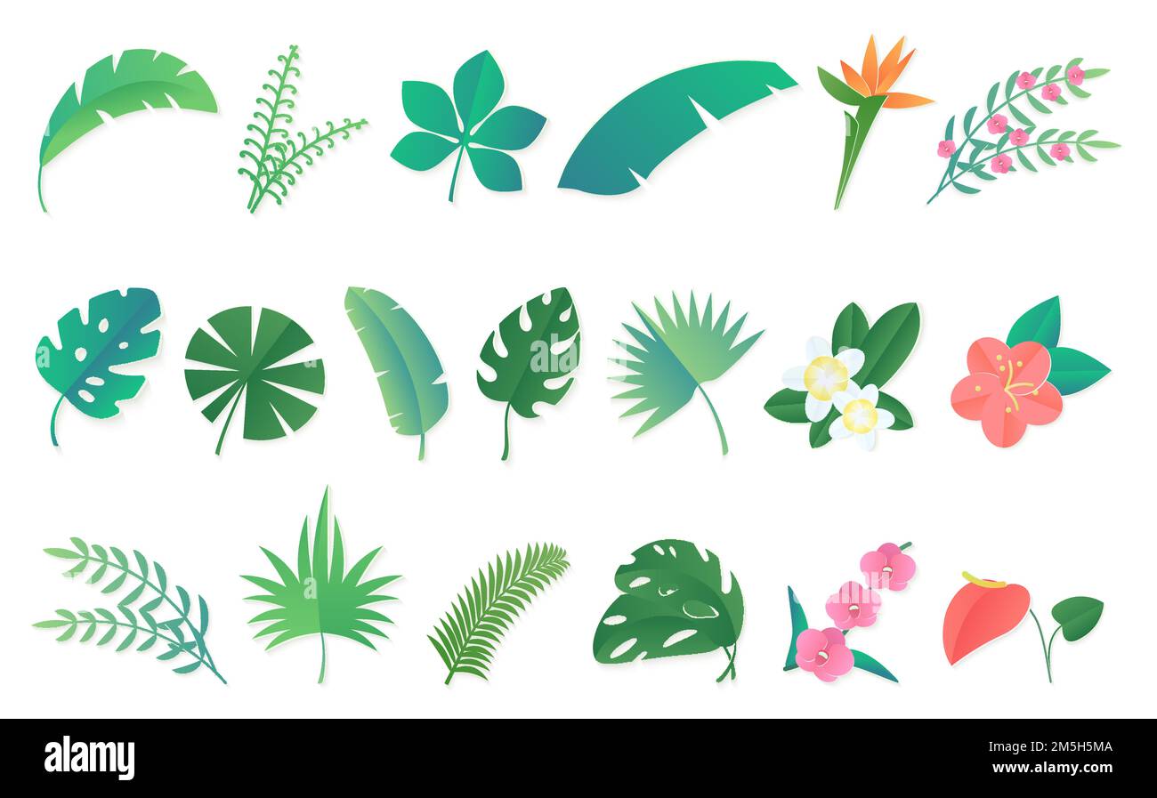 Cartoon tropical rainforest leaves and flowers set Stock Vector Image ...
