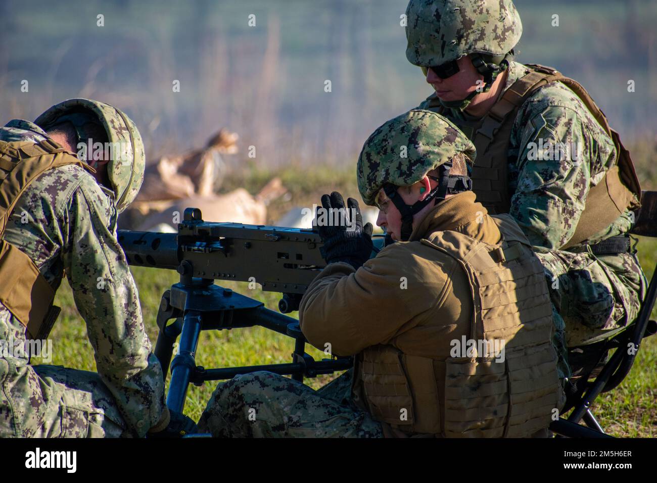 Seabees assigned to Construction Battalion Mobile Unit 202 attended ...