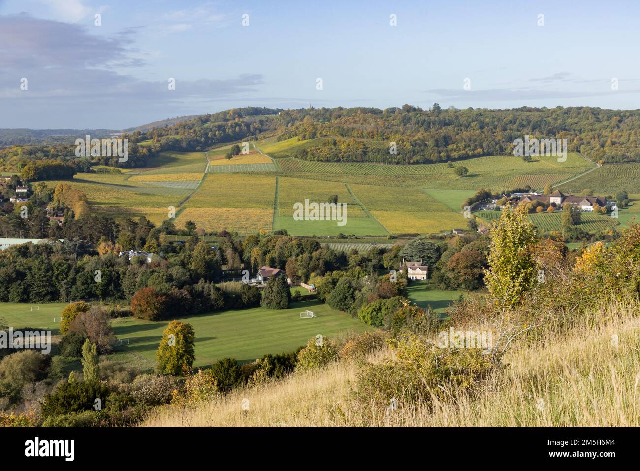 Denbies hillside view hi-res stock photography and images - Alamy