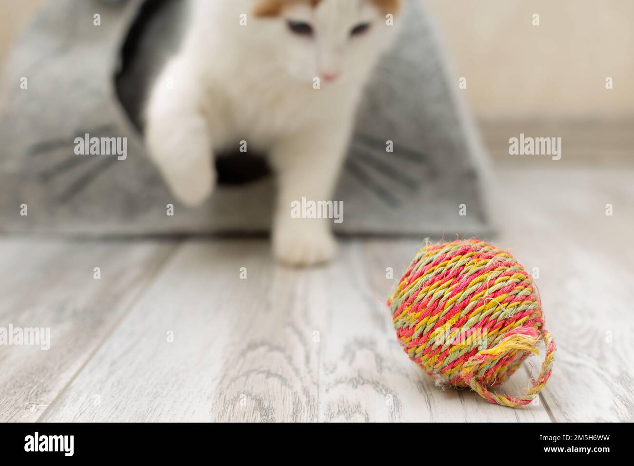 Ball in ball cat hi-res stock photography and images - Alamy