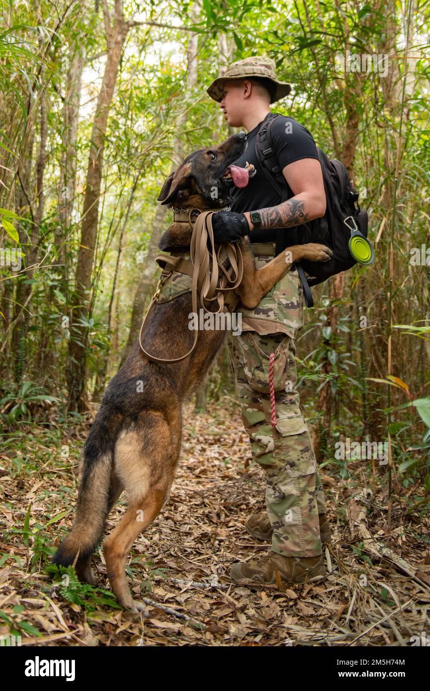 U s marine sgt marine fighter hi-res stock photography and images - Alamy