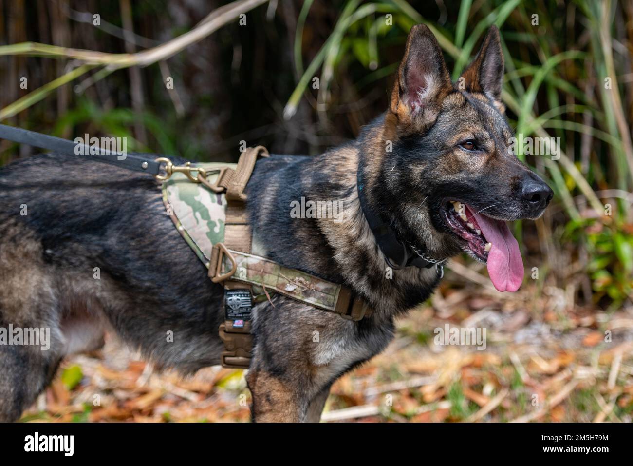 18th security forces squadron hi-res stock photography and images - Alamy