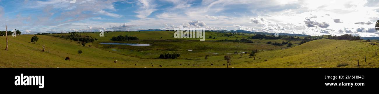 Bromfied Swamp, panorama, Atherton Tablelands Stock Photo - Alamy
