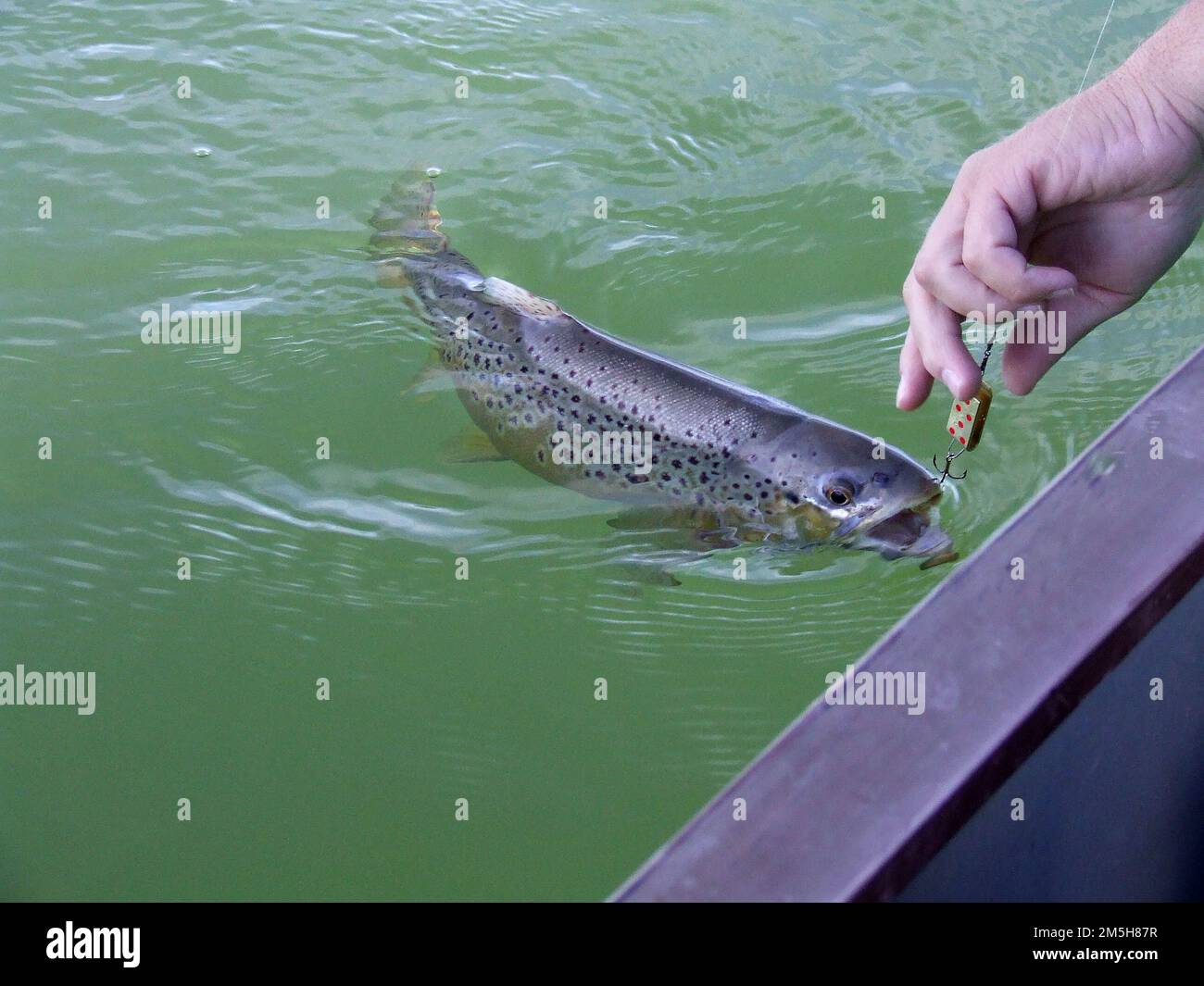 Flaming Gorge-Uintas National Scenic Byway - Hooking a Speckled Trout ...