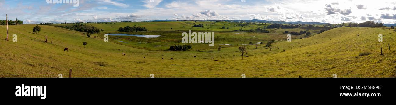 Bromfied Swamp, panorama, Atherton Tablelands Stock Photo - Alamy