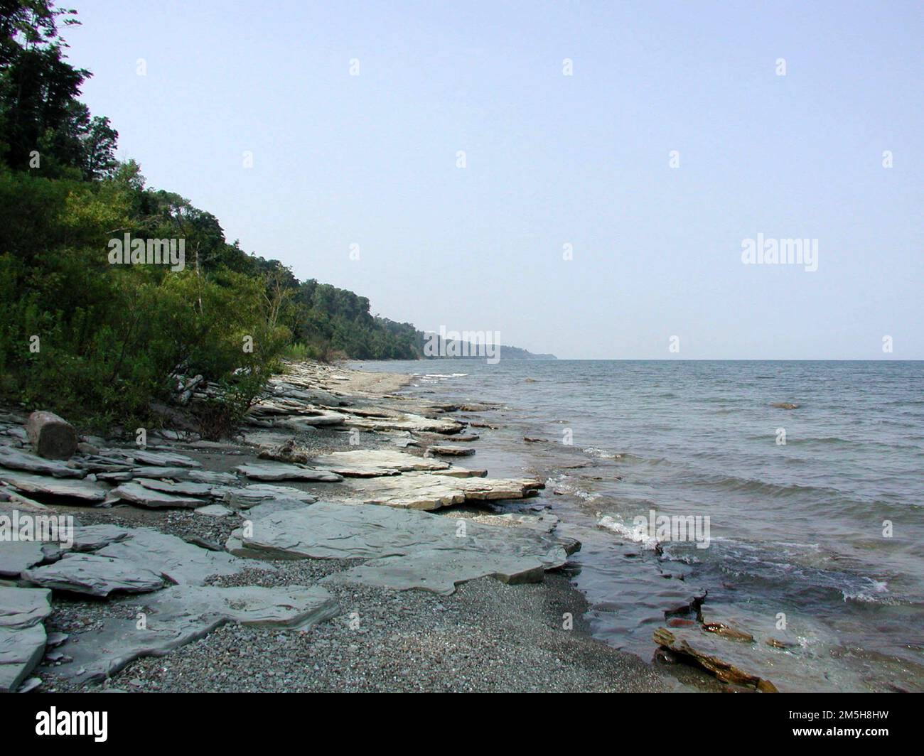 Great Lakes Seaway Trail - Erie Bluffs Shoreline. The lush greenery ...