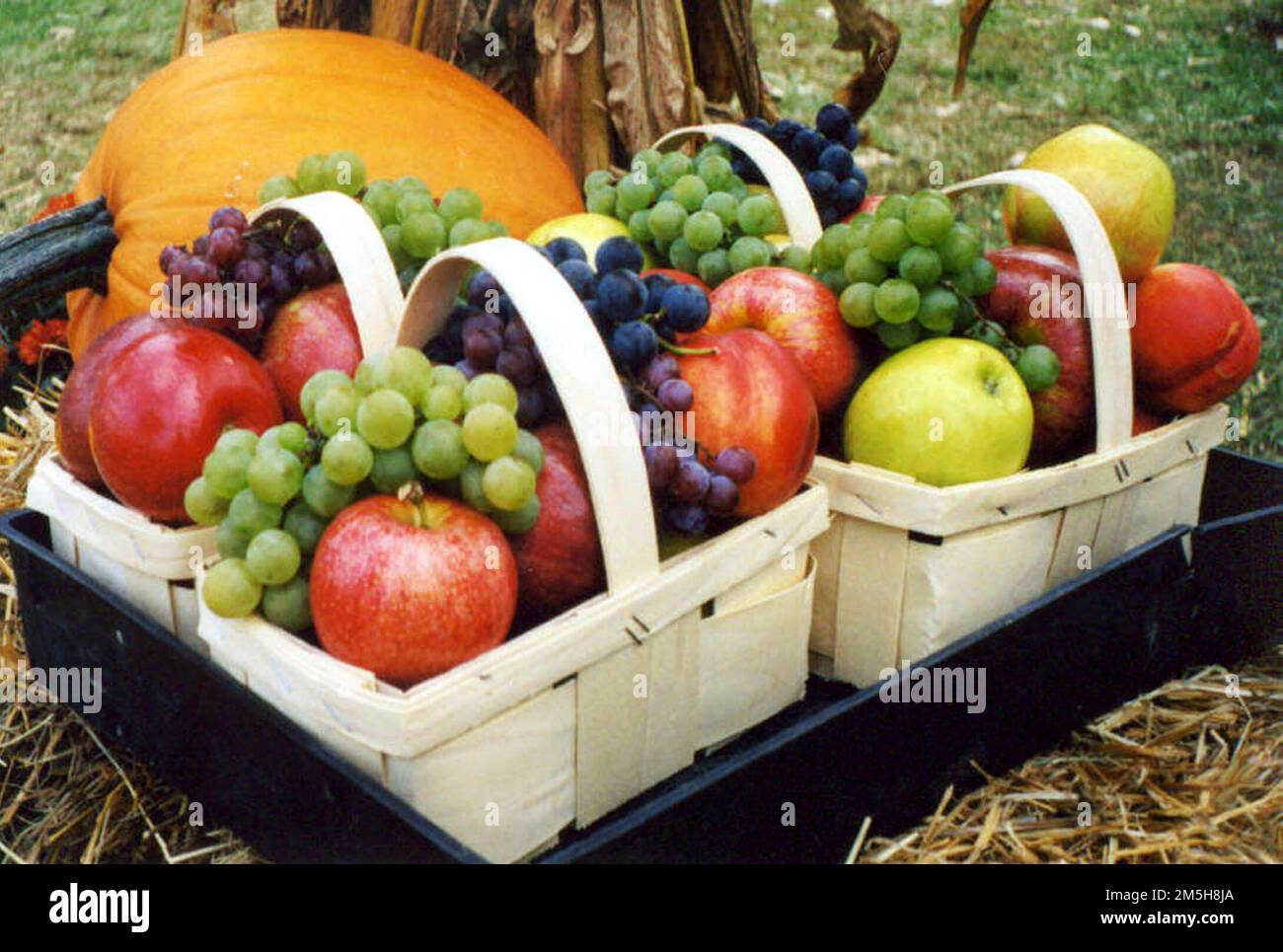 Great Lakes Seaway Trail - Cornucopia. The bounty of the season is ...