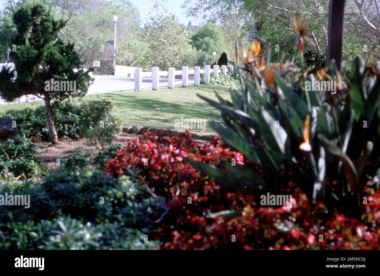 Arroyo Seco Historic Parkway - Route 115 - Flowers in Via Marisol Park ...