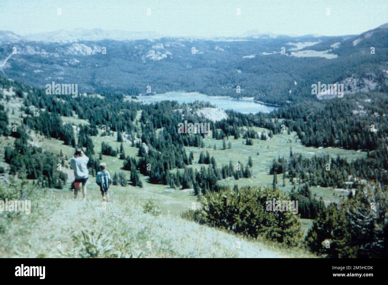 Old fire tower clay butte hi-res stock photography and images - Alamy
