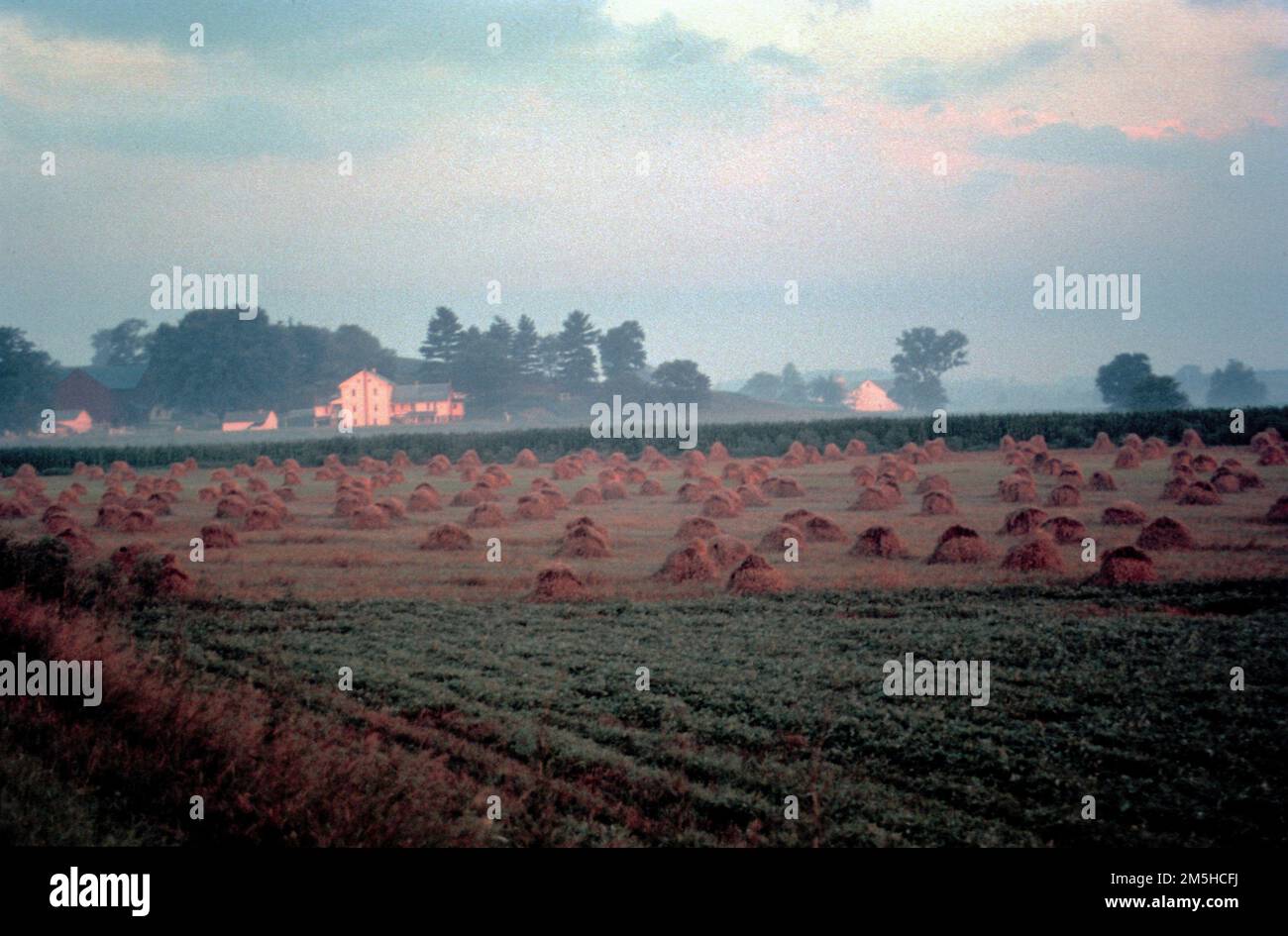 Amish Country Byway - Farmstead in the Mist. An early morning mist ...