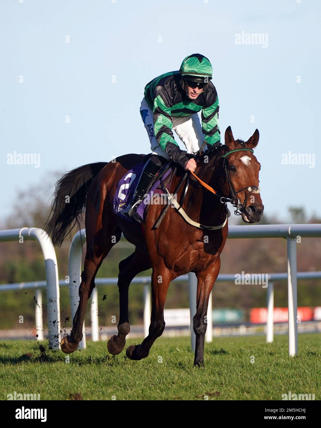 Seddon horse hi-res stock photography and images - Alamy