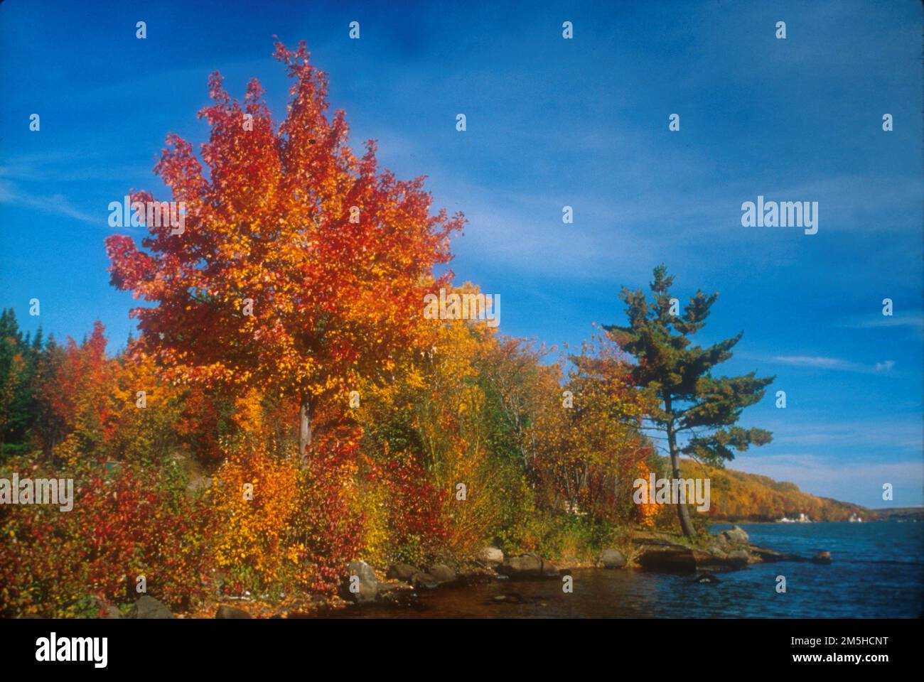 Copper Country Trail - Fall Foliage. Fall foliage shouts out to the ...