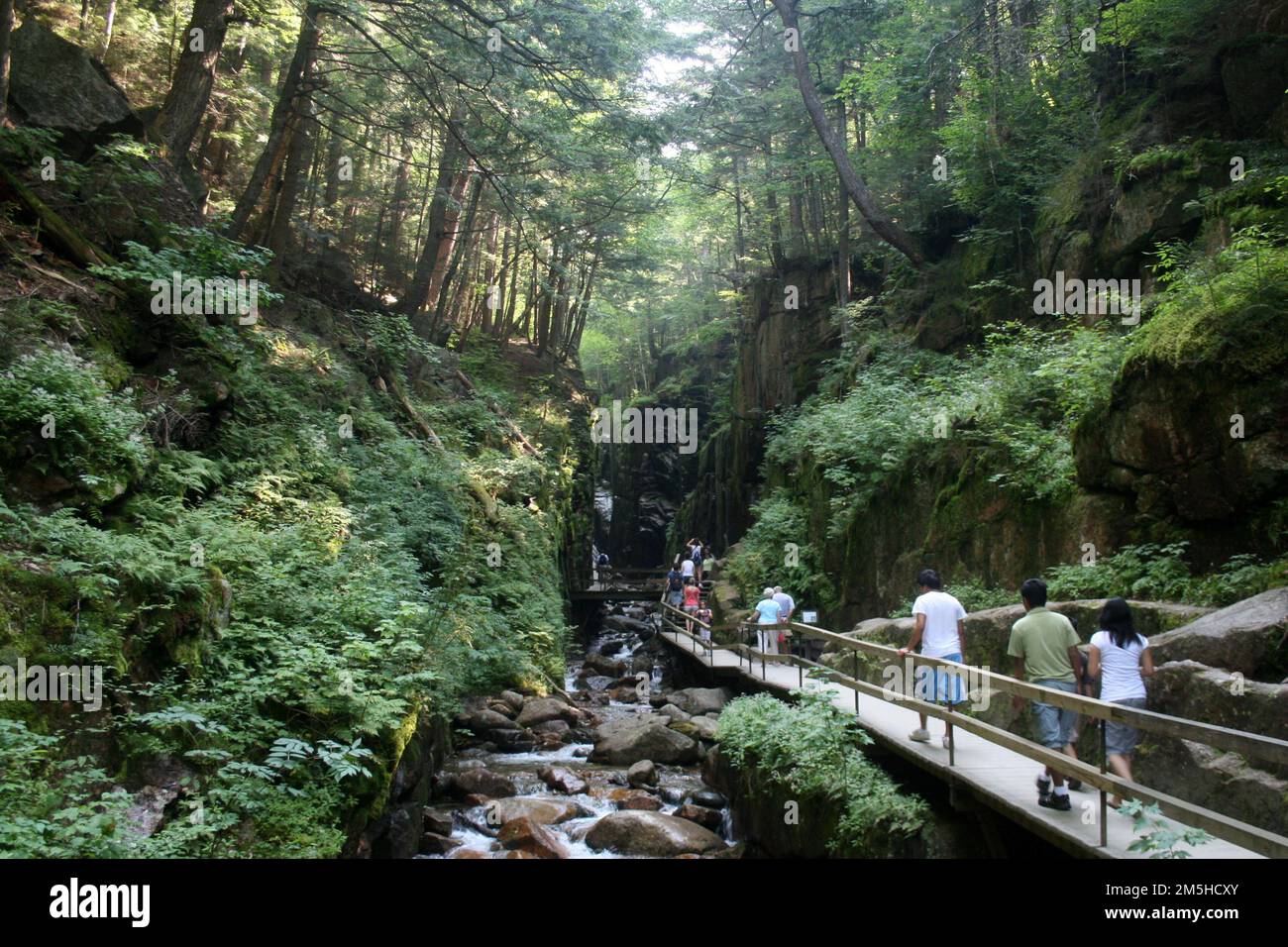 White Mountain Trail - Flume Gorge at Franconia Notch. undefined. 1995 ...