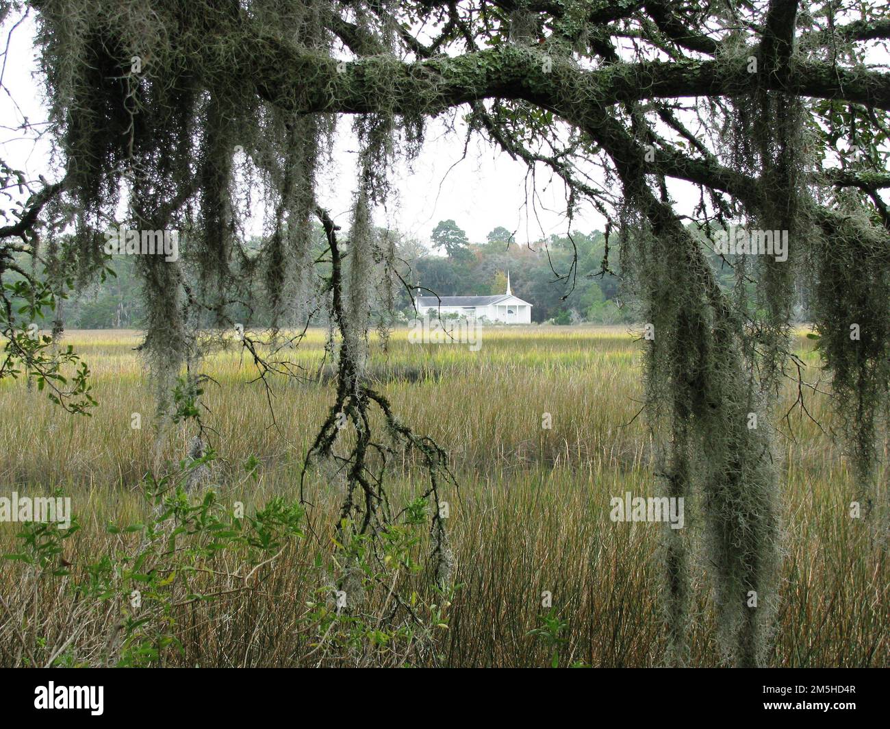 Edisto Island National Scenic Byway - Marsh View to Botany Bay and ...