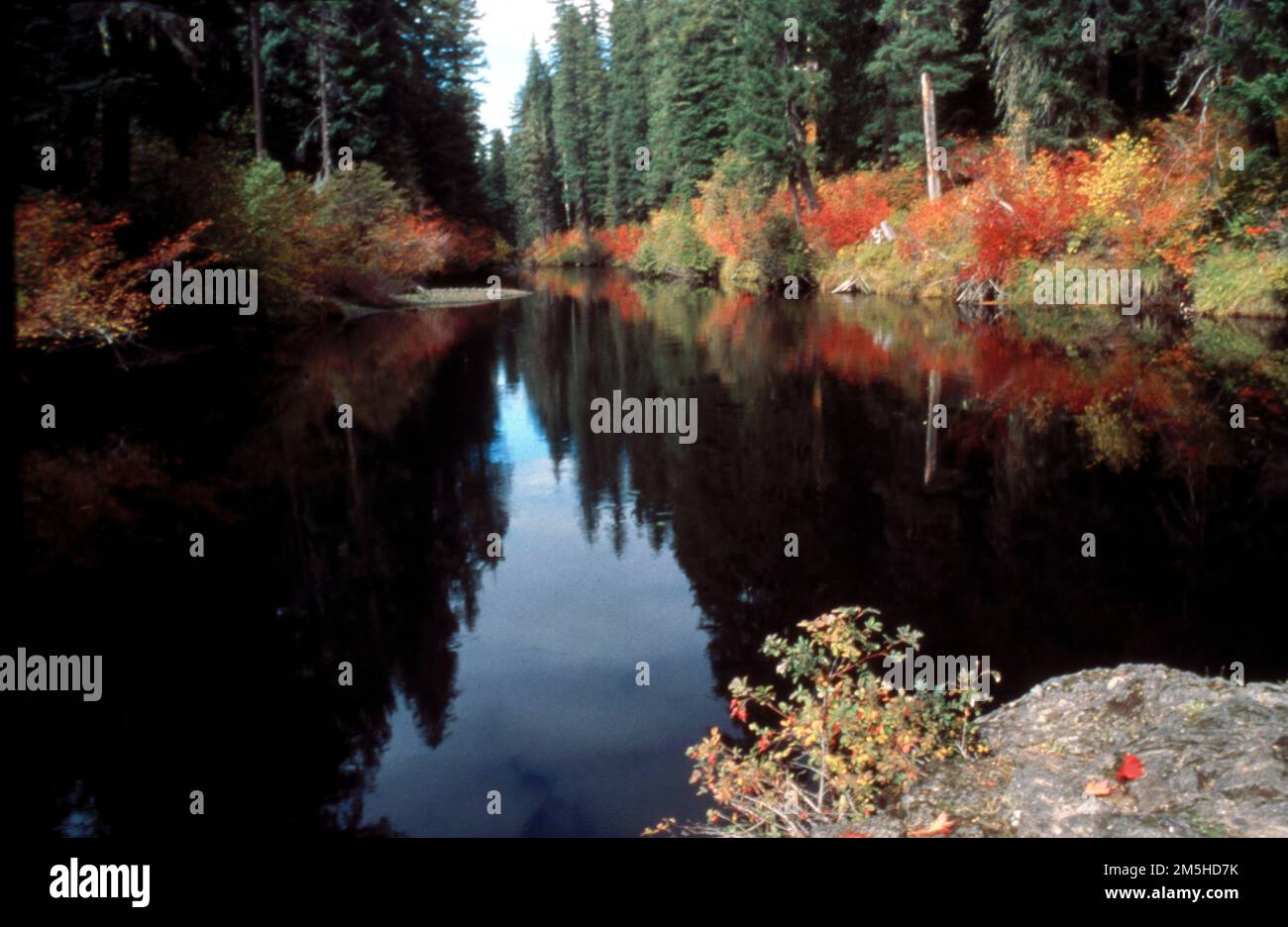 Rogue-Umpqua Scenic Byway - Upper Rogue National Wild & Scenic River ...
