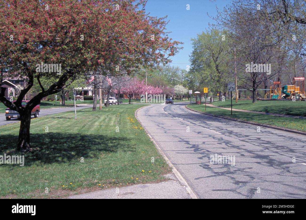 Ohio & Erie Canalway - Flowering Trees in Cleveland. Inviting flowering ...