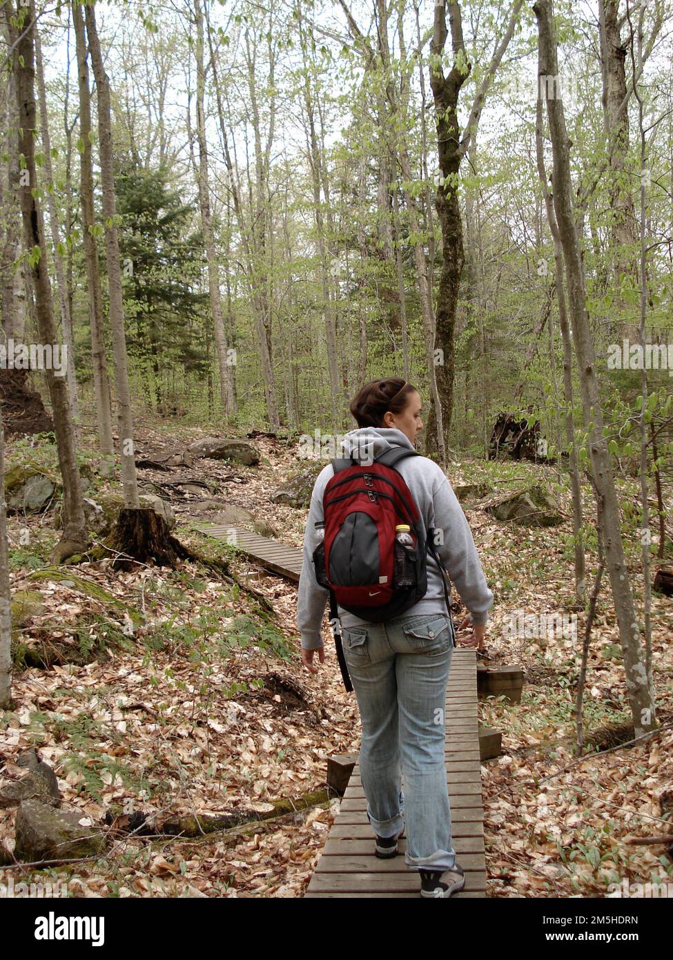 Lakes to Locks Passage - Hiker on the Mount Goodnow Trail. A hiker ...
