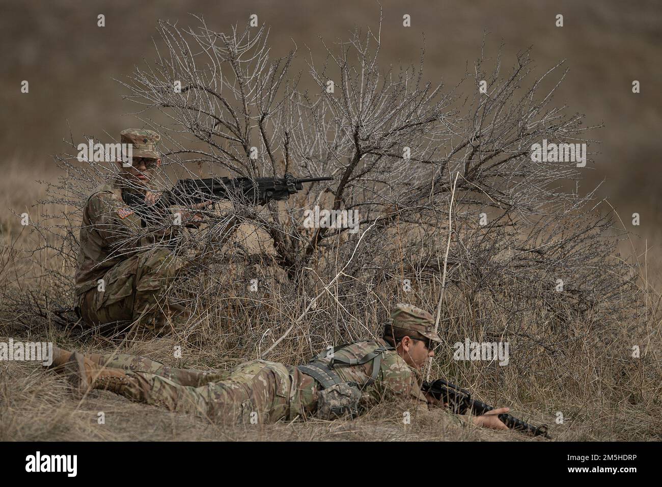 Rotc training exercises hi-res stock photography and images - Alamy
