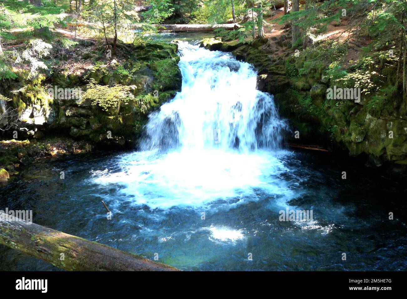 Rogue-Umpqua Scenic Byway - Whitehorse Falls. This waterfall tumbles 15 ...