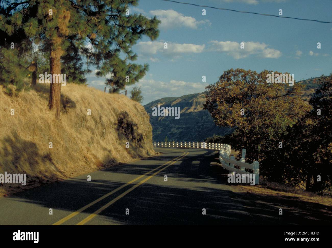 Historic Columbia River Highway - Curves Ahead on the Historic Columbia ...