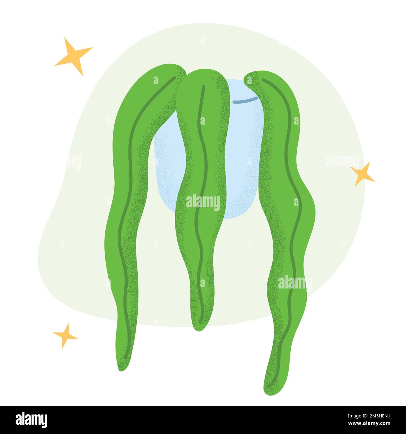 House Plant In Ceramic Pot Abstract Indoor Interior Houseplant Flat