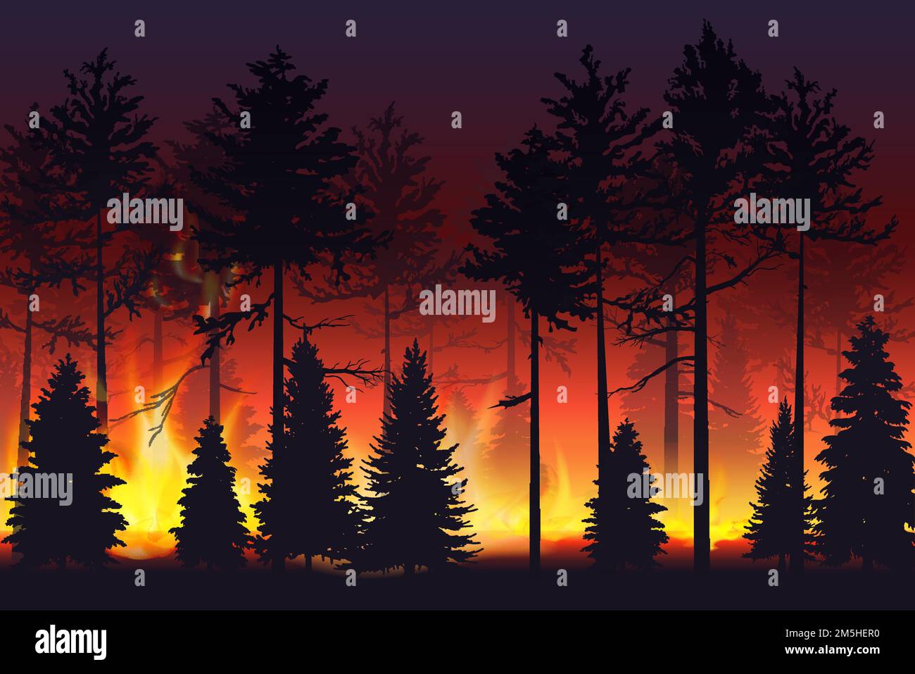 Wild fire in the night forest. Natural disaster. Wildfire. Black ...