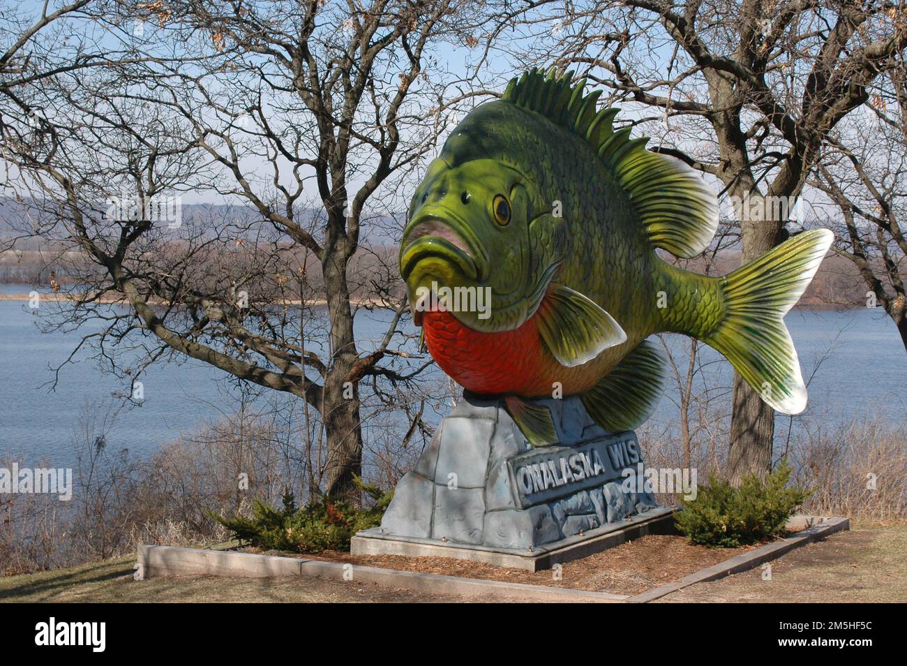 Great River Road - Big Fish Greeting. A big fish, perhaps a perch ...