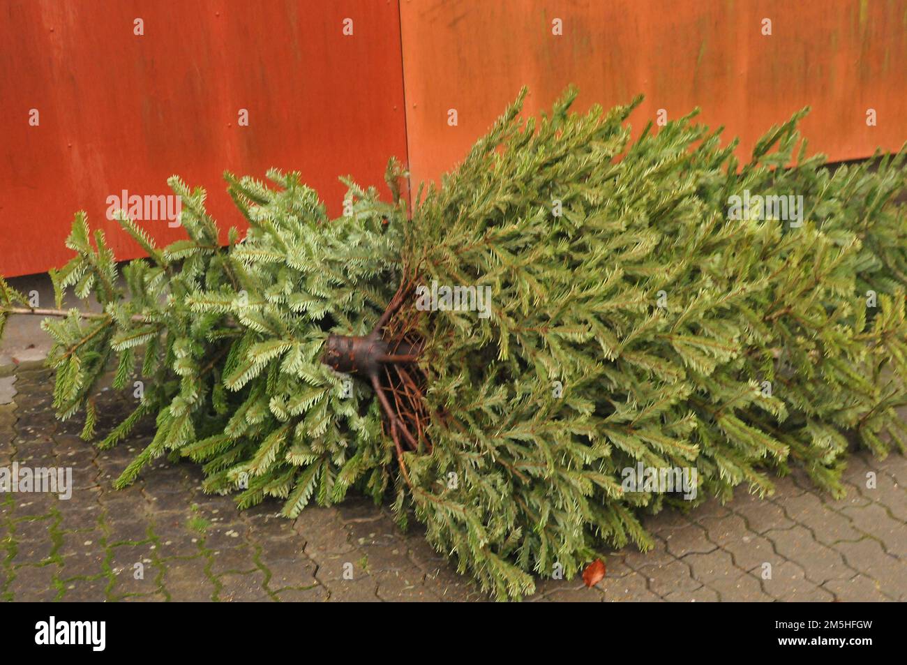 Chrustmas tree waste hi-res stock photography and images - Alamy
