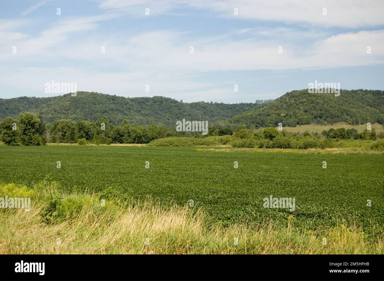 Historic Bluff Country Scenic Byway - Bluffs of the Root River Valley ...