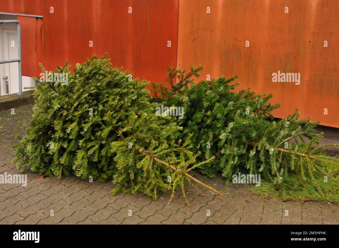 Chrustmas tree waste hi-res stock photography and images - Alamy