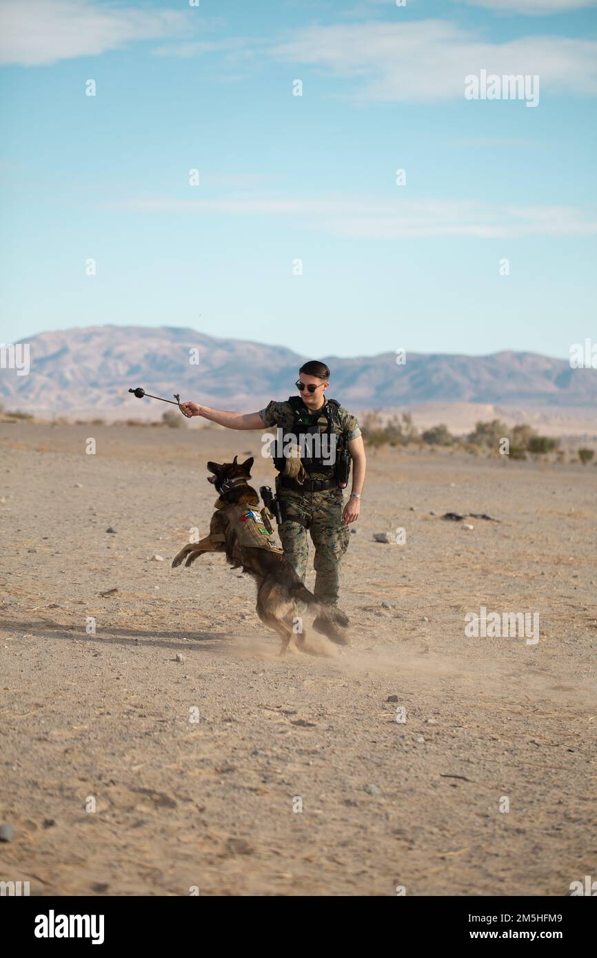 U.S. Marine Corps Lance Cpl. Joseph Ostrowski, a military working dog ...