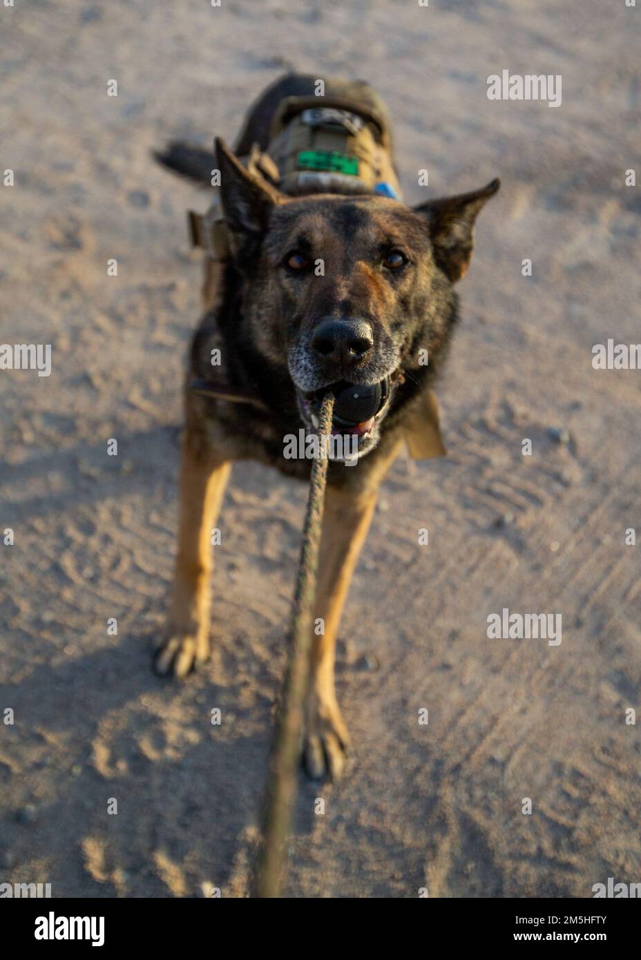 Hqbn magtftc mcagcc hi-res stock photography and images - Alamy