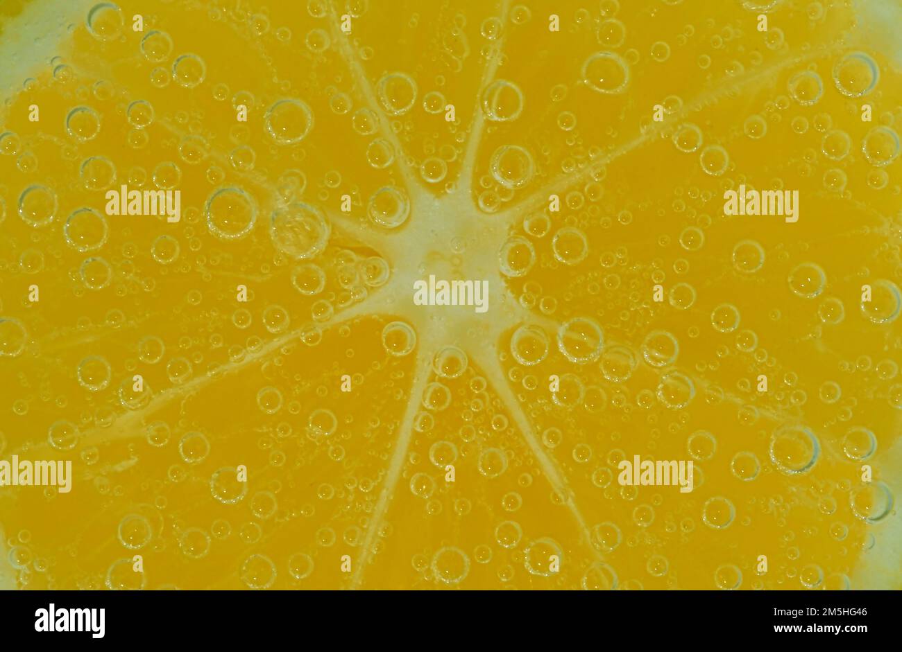 Close-up of lemon in liquid with bubbles. Slice of yellow ripe lemon in ...