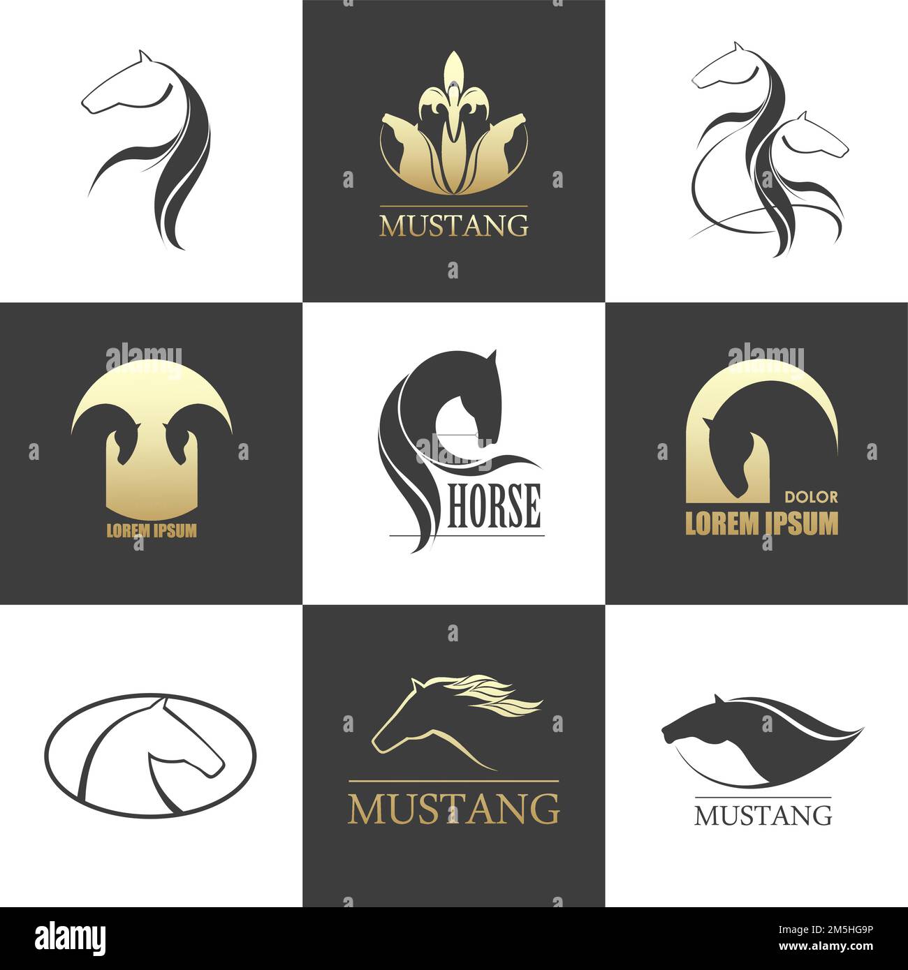 Horse logo vector set premium design Stock Vector Image & Art - Alamy