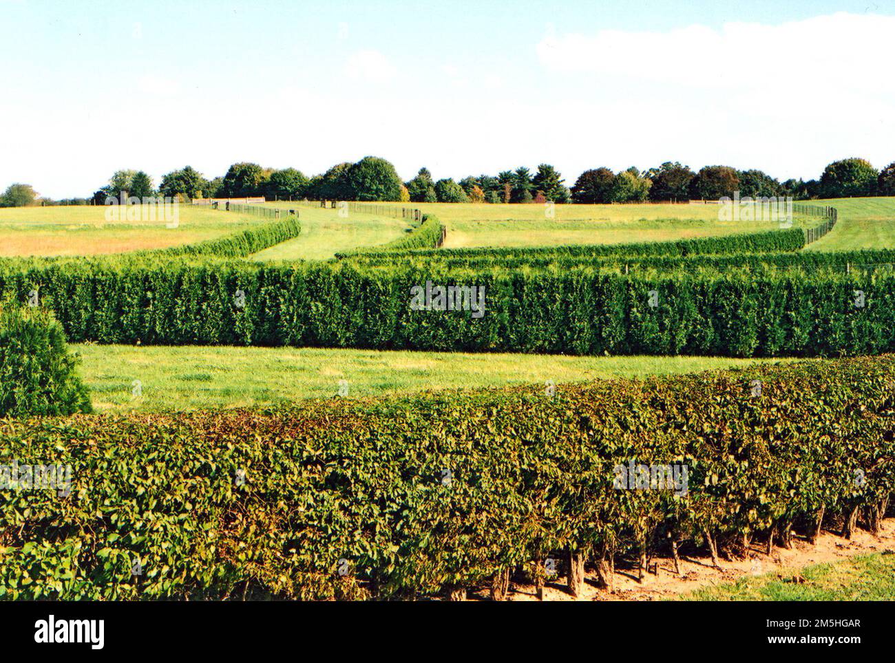 Brandywine Valley Scenic Byway - Hedge Rows and Horse Jumps at ...