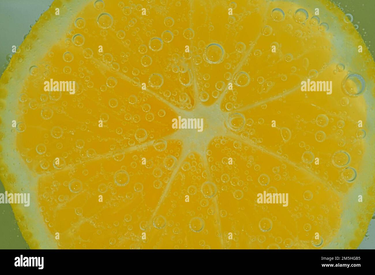 Fresh lemon slice in liquid with bubbles. Close-up of a lemon slice in soda water. Bubbles on ...