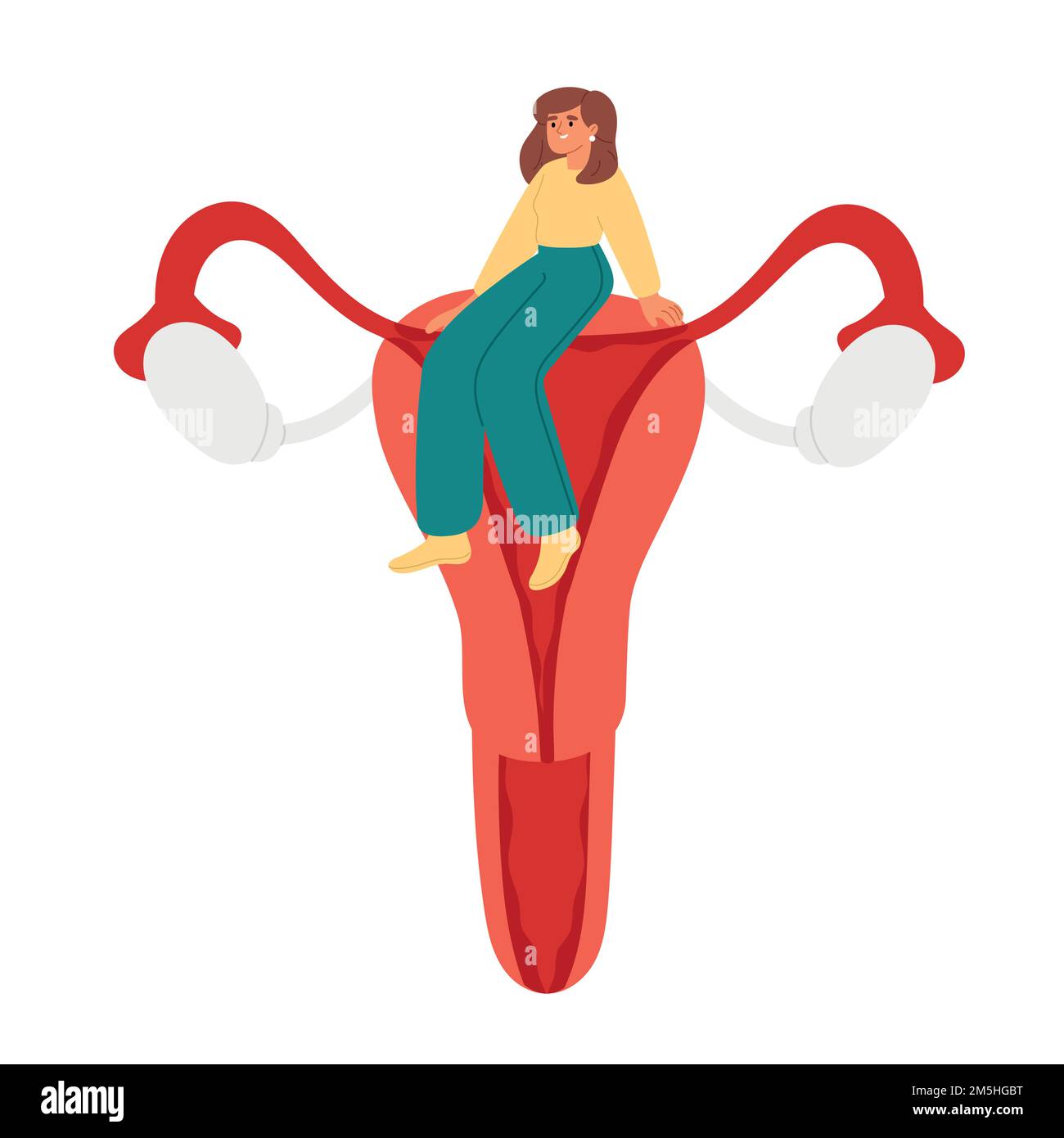Female Reproductive System Uterus And Ovaries Flat Vector