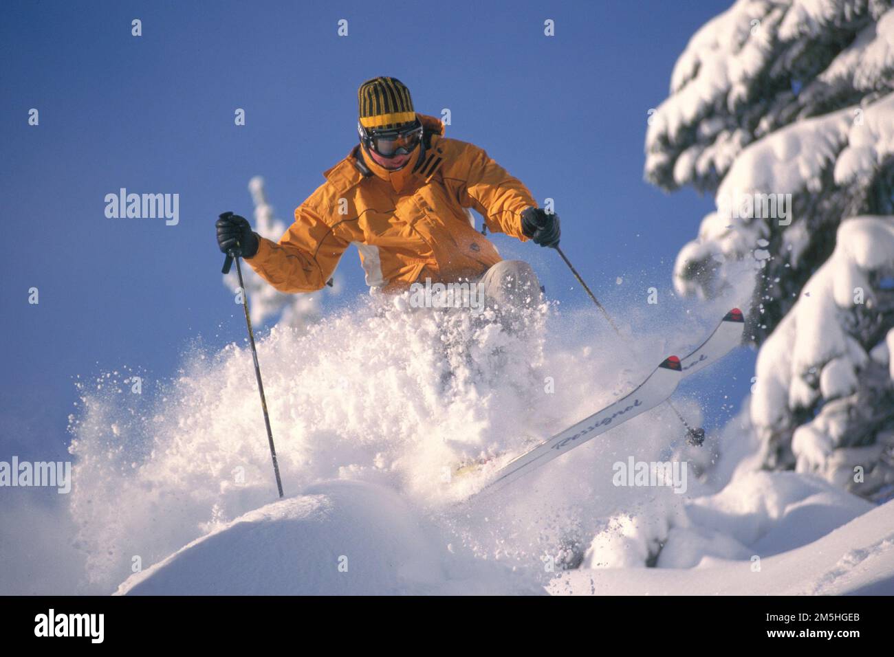 Ebbetts Pass Scenic Byway - Powder Run at Bear Valley. A skier enjoys a ...